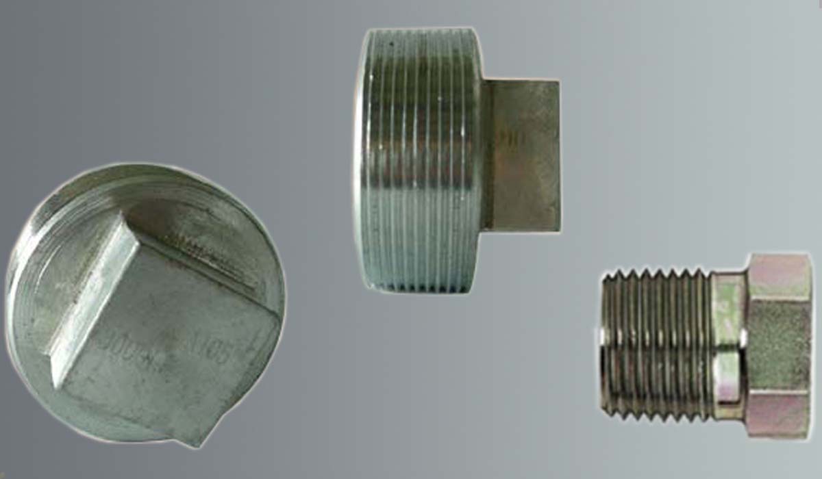 Forged Threaded Hex and Round Headed Plugs, ASME B16.11 Supplier